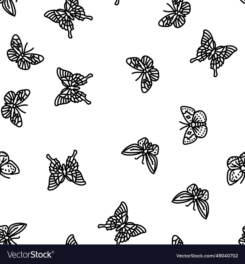 Butterfly summer spring insect seamless Royalty Free Vector