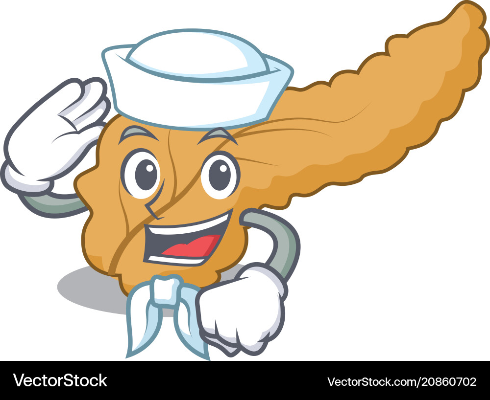 Sailor pancreas character cartoon style Royalty Free Vector