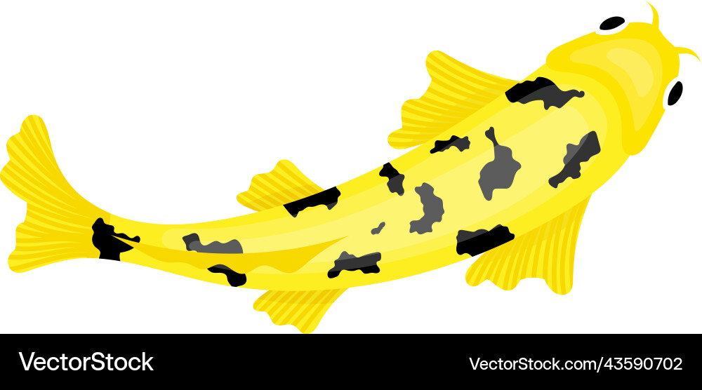 Yellow lake fish top view pond carp Royalty Free Vector