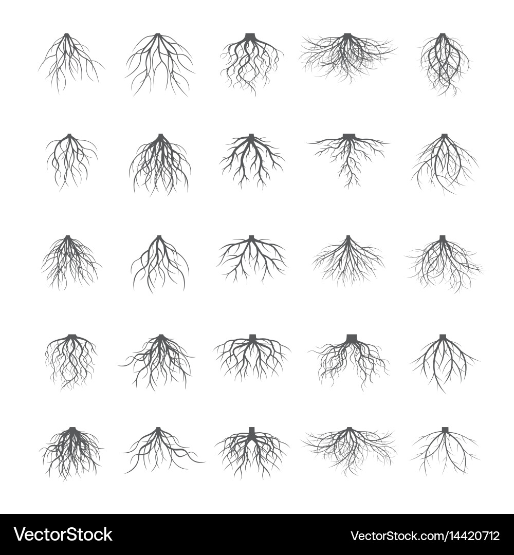Big set of grey roots Royalty Free Vector Image