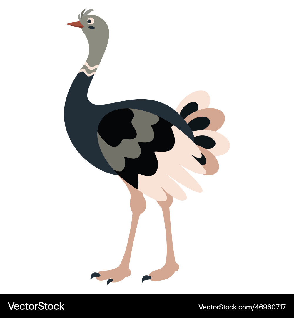 Cute cartoon ostrich bird flat Royalty Free Vector Image