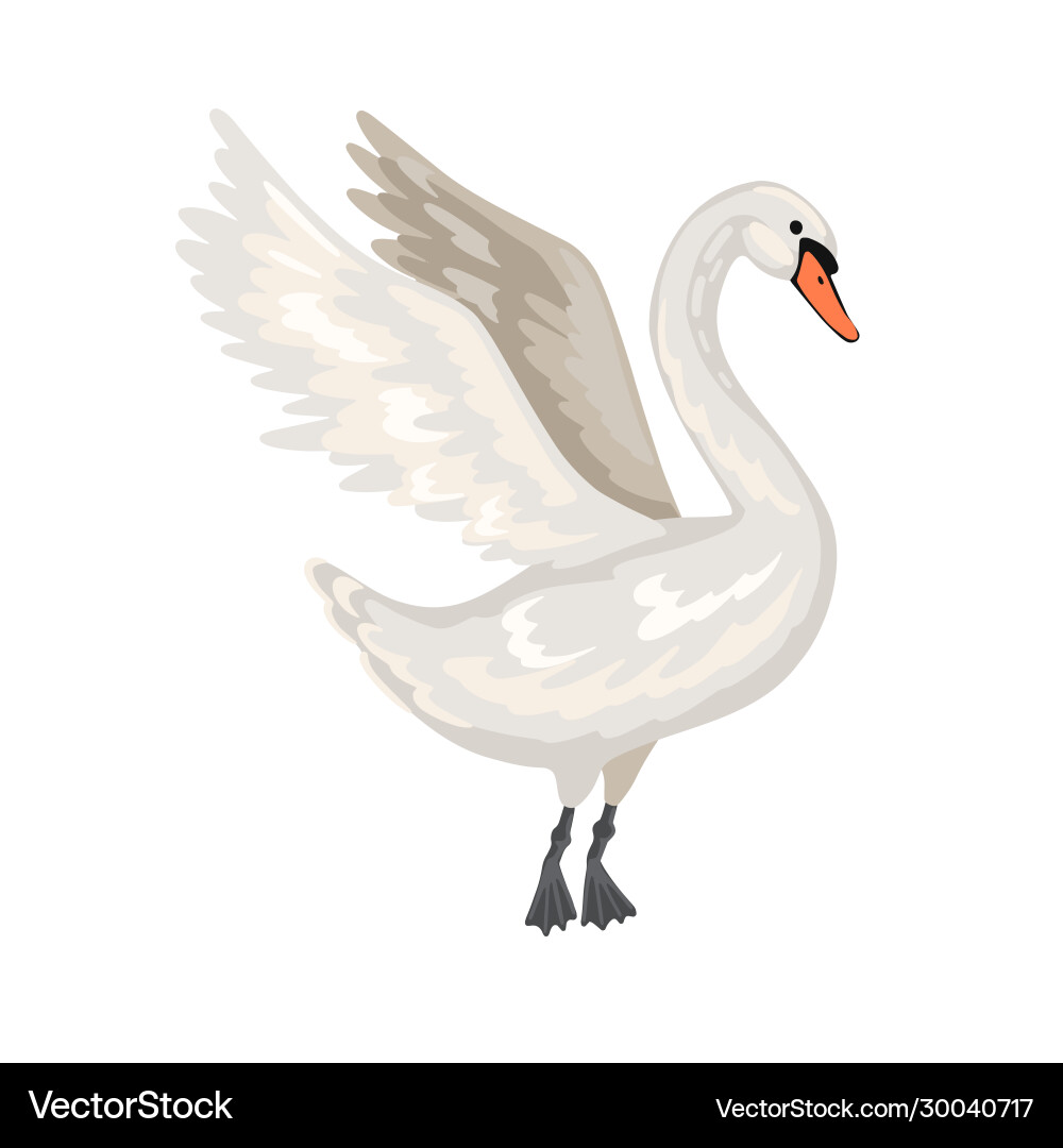 Swan Wings