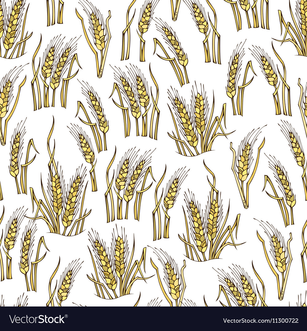 Seamless wheat pattern Royalty Free Vector Image