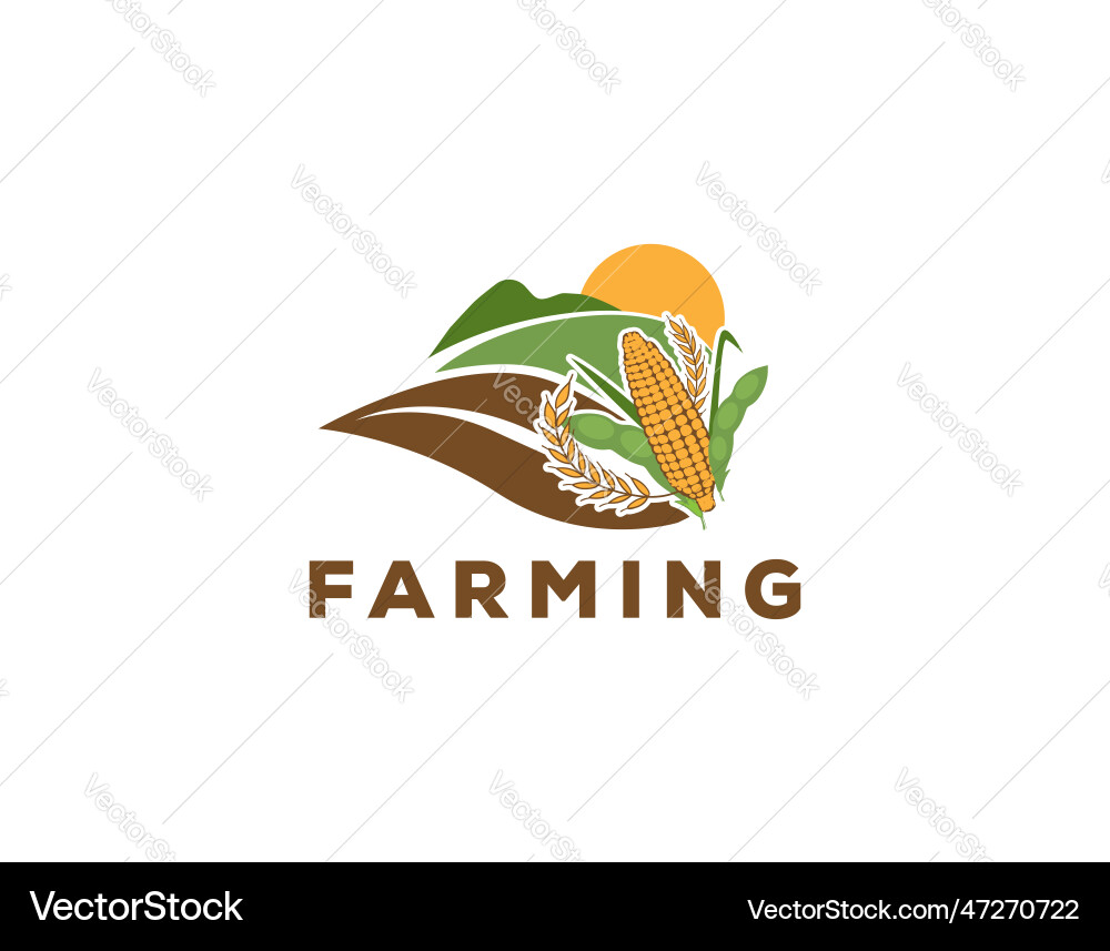 Simple grain and bean farming logo design template