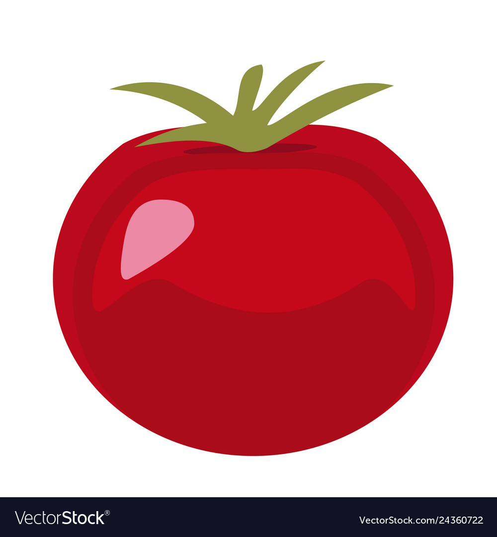 Tomato flat simple Royalty Free Vector Image - VectorStock