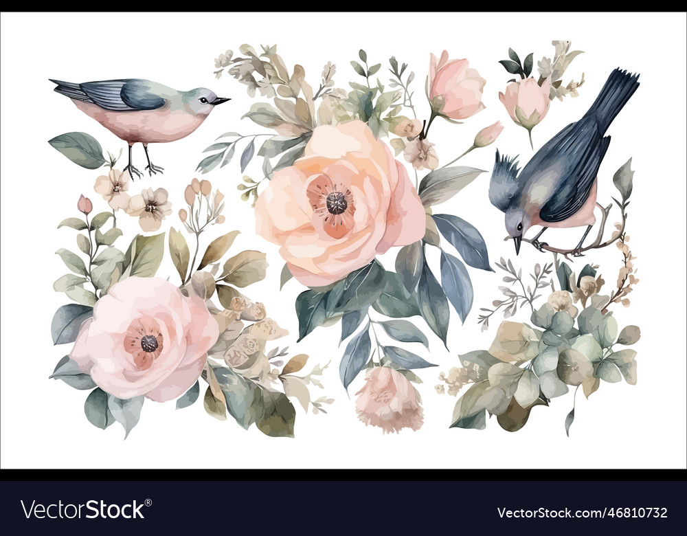 Botanic watercolor set with flowers and birds Vector Image