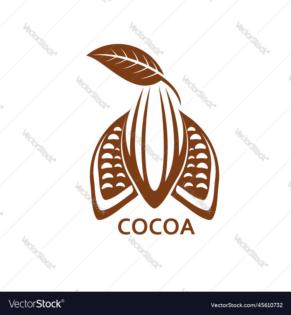 Cocoa chocolate cacao bean icon for choco product Vector Image Cocoa chocolate cacao bean icon for choco product Vector Image
