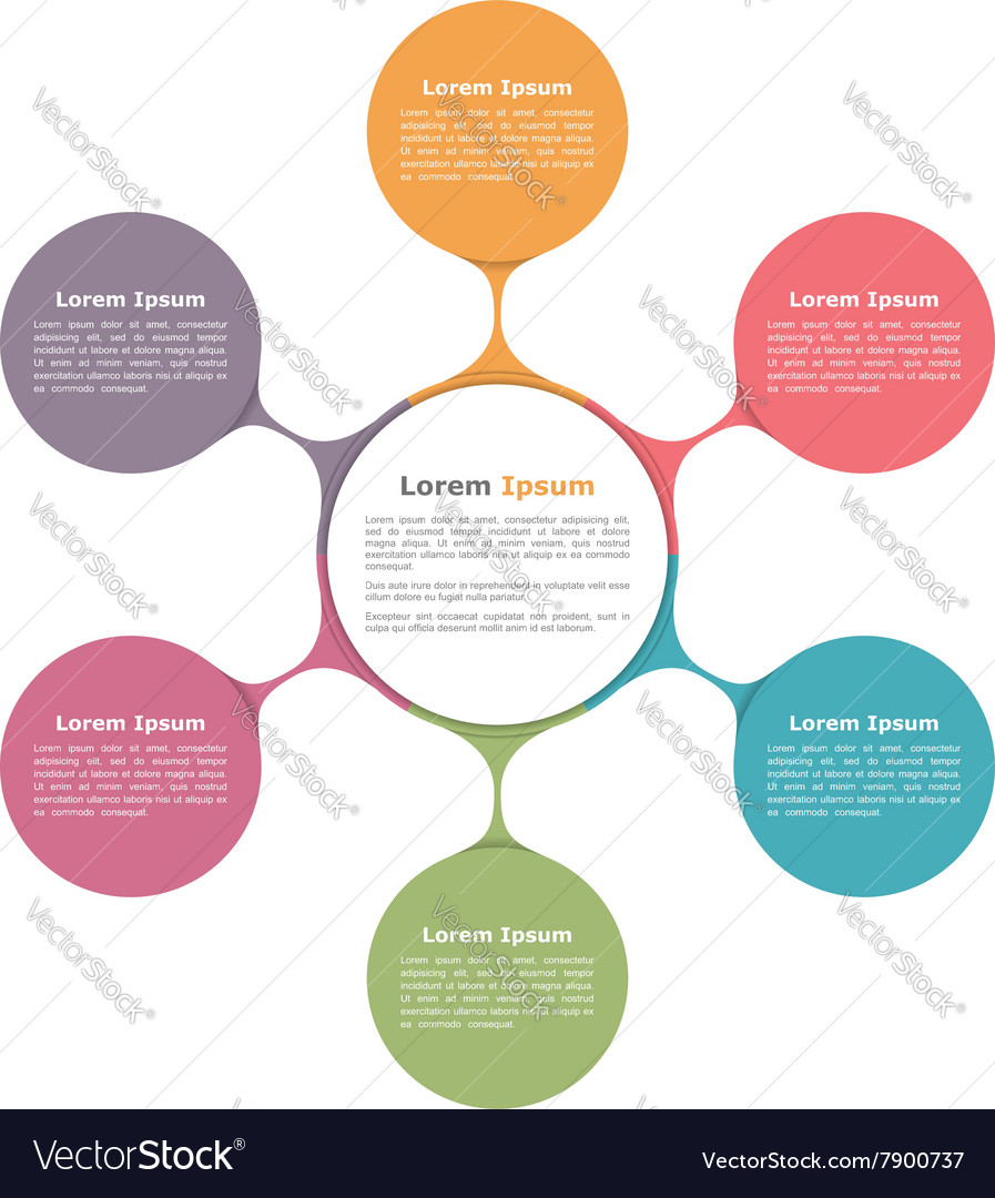 Circle chart Royalty Free Vector Image - VectorStock