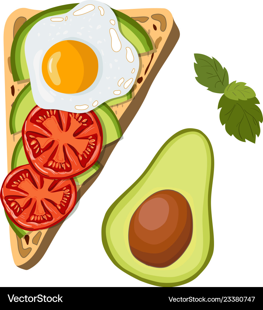 Avocado toast Royalty Free Vector Image - VectorStock