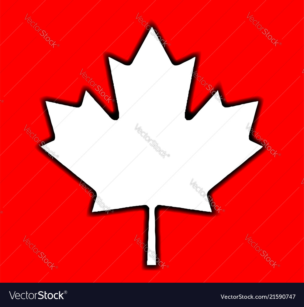 Canadian maple leaf Royalty Free Vector Image - VectorStock