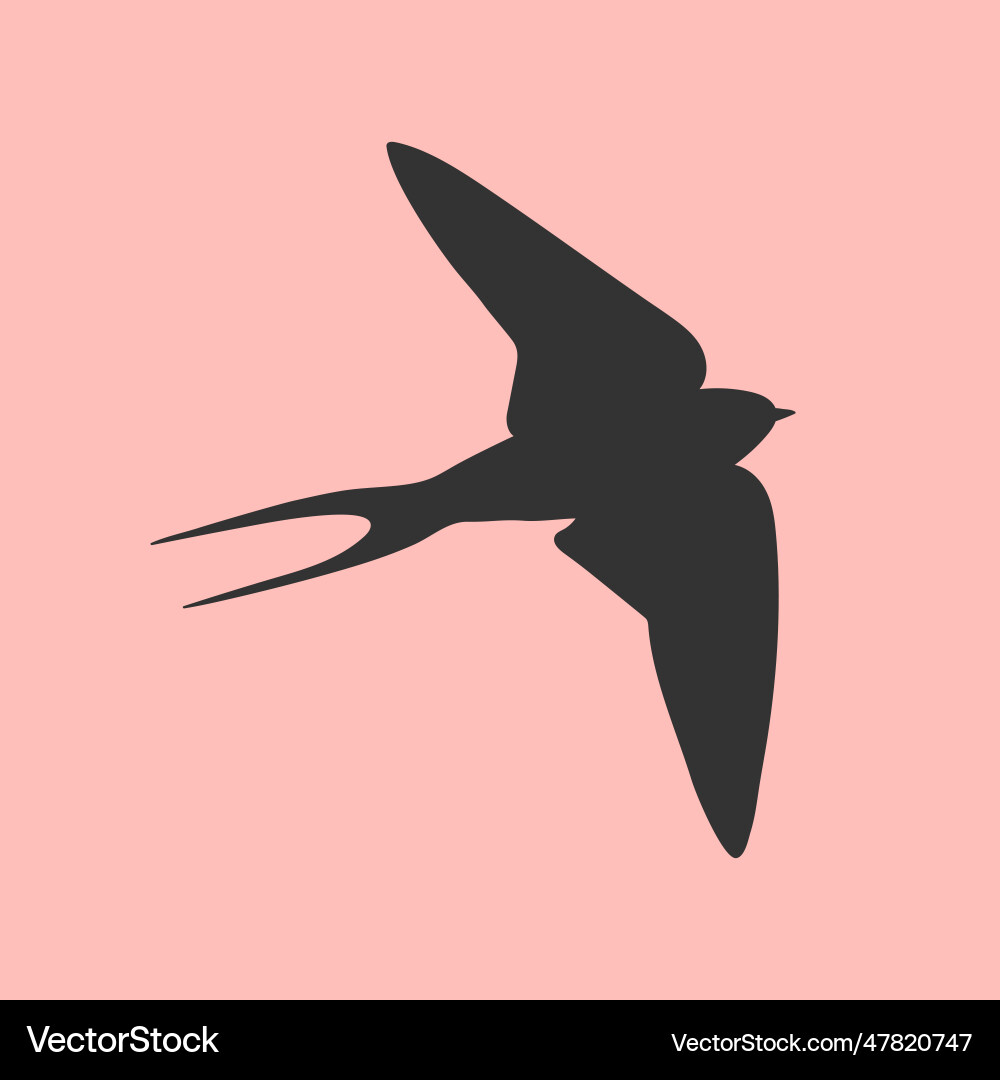 Flying martin bird silhouette on pink background Vector Image