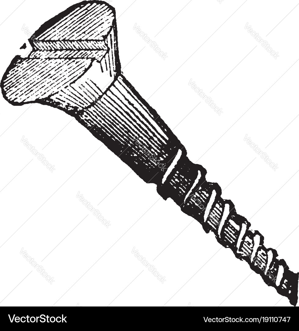 Wood screw vintage Royalty Free Vector Image - VectorStock