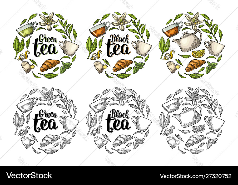 Set with lettering black green tea vintage Vector Image
