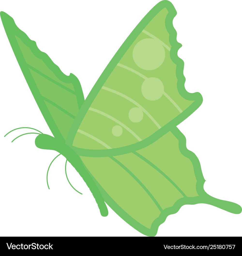 Beautiful butterfly isolated icon Royalty Free Vector Image