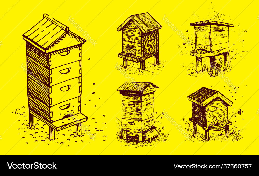 Bee hive drawing a collection farm products Vector Image