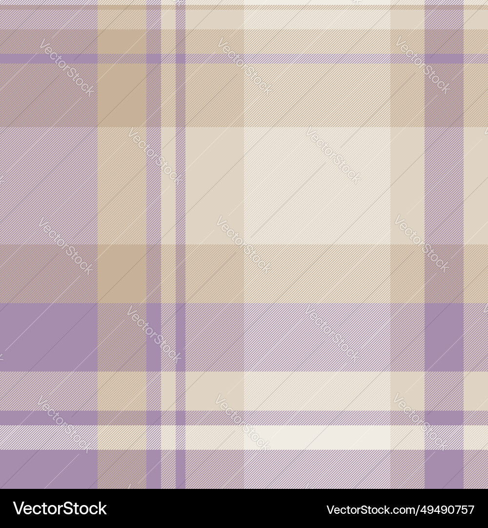 Fabric background seamless of textile check Vector Image