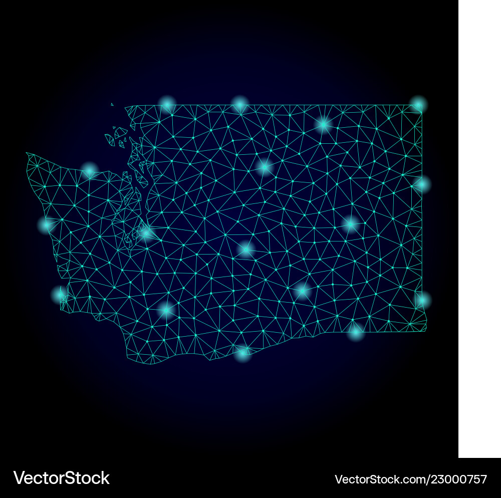 Polygonal carcass mesh map of washington state Vector Image