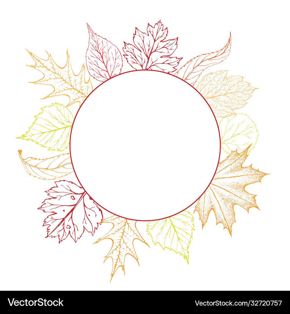 Round frame with autumn leaves fall wreath Vector Image