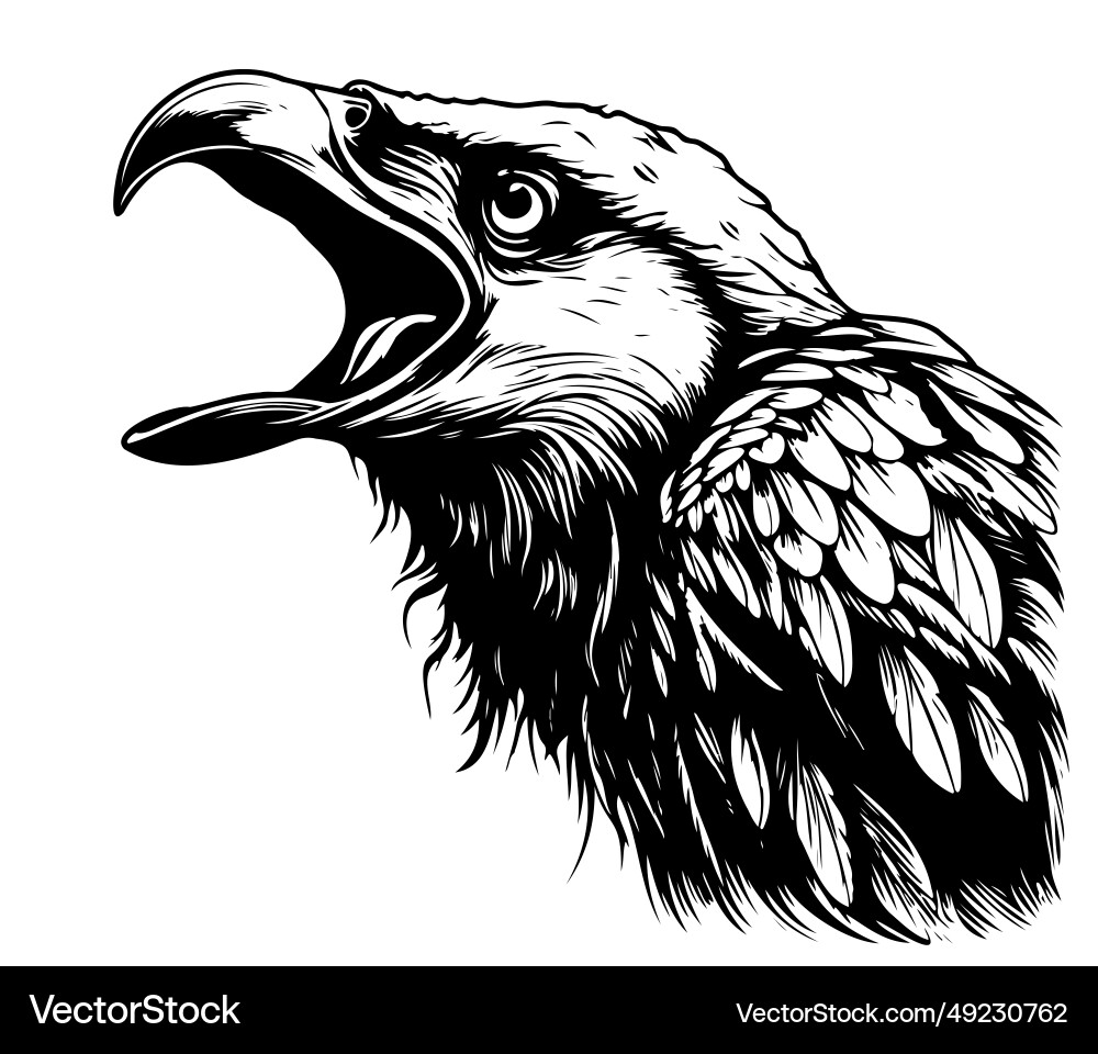 Angry raven head sketch hand drawn Royalty Free Vector Image
