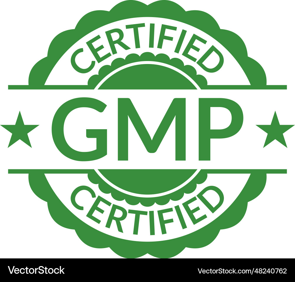Gmp stamp or seal good manufacturing practice Vector Image