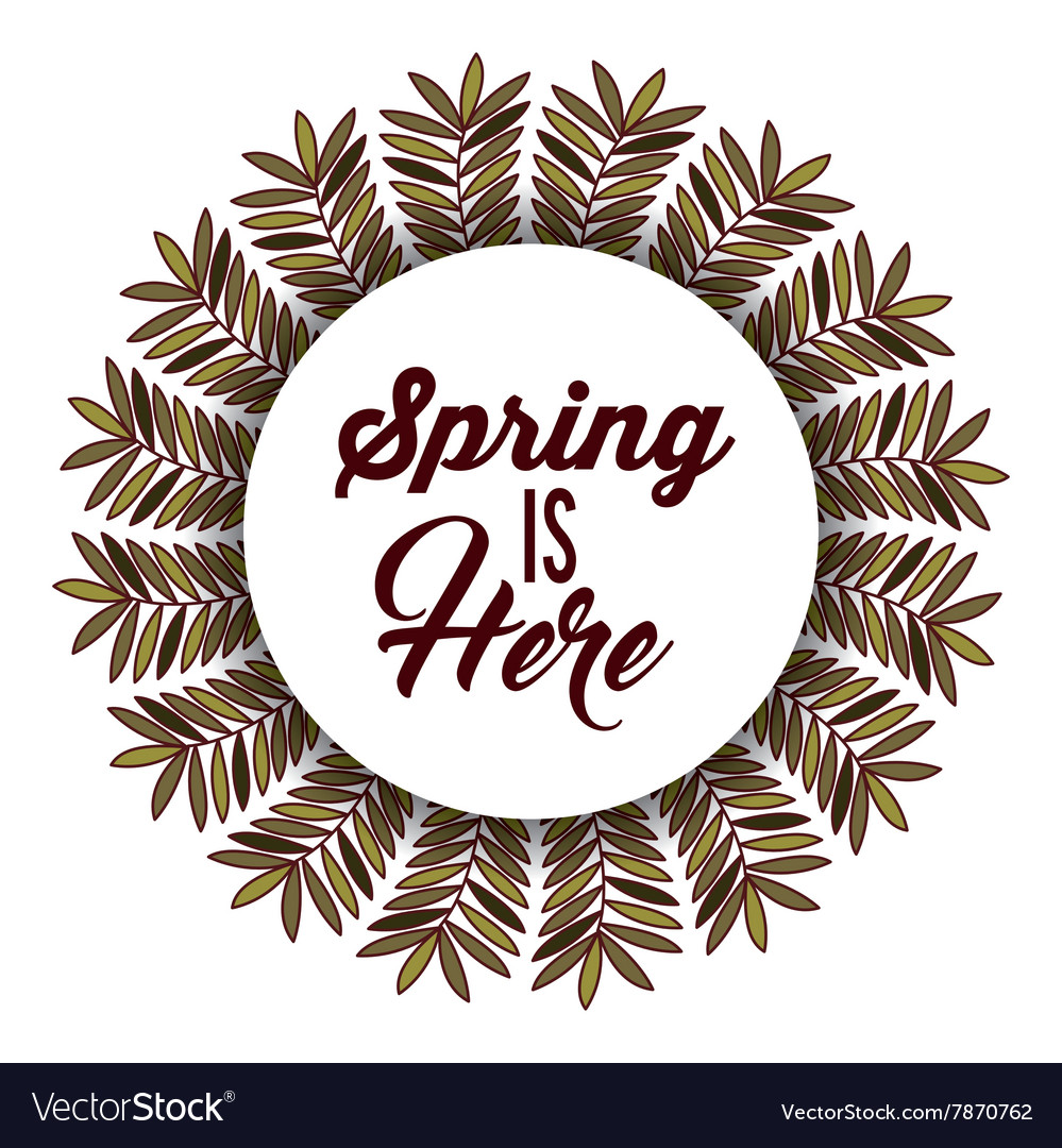 Hello spring design Royalty Free Vector Image - VectorStock