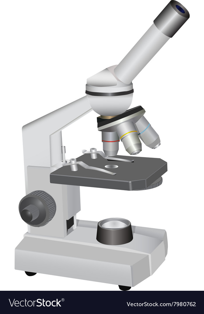 Microscope Royalty Free Vector Image - VectorStock