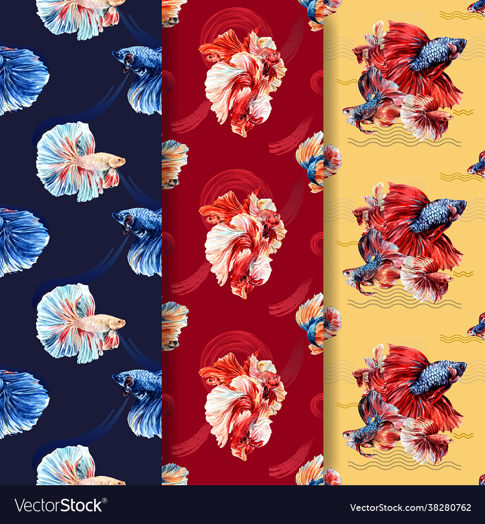 Pattern template with siames fighting fish Vector Image