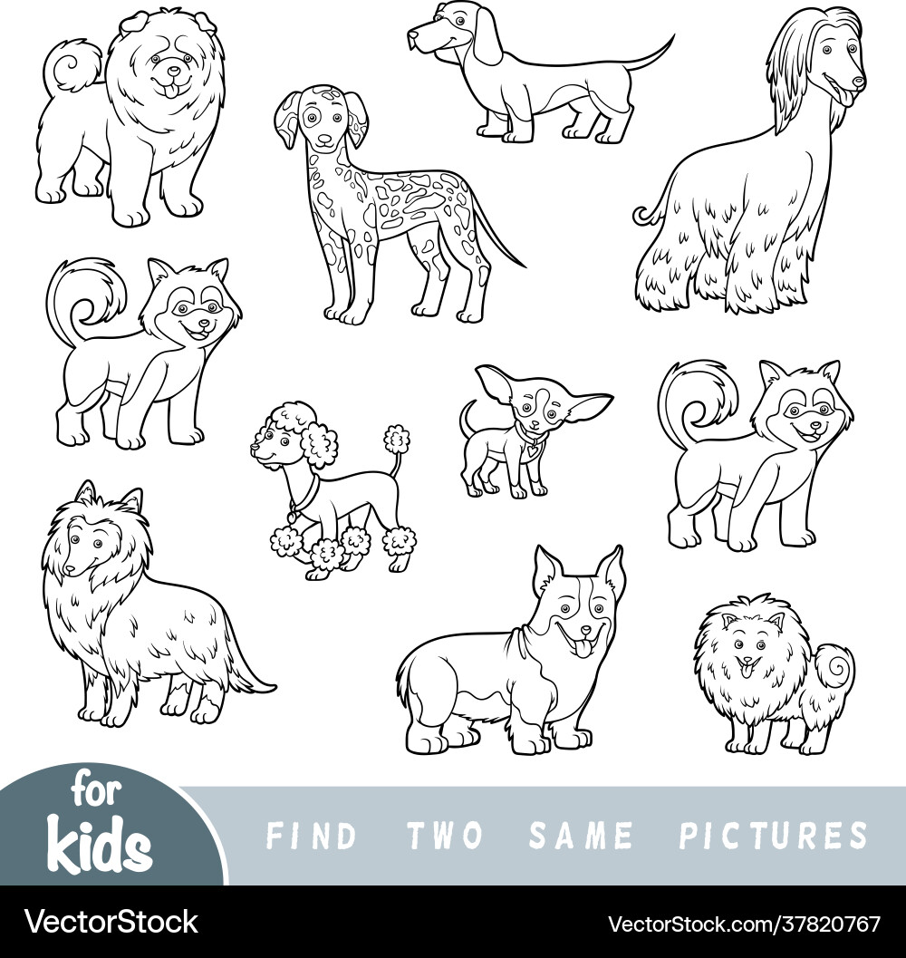 Find two same pictures education game set Vector Image