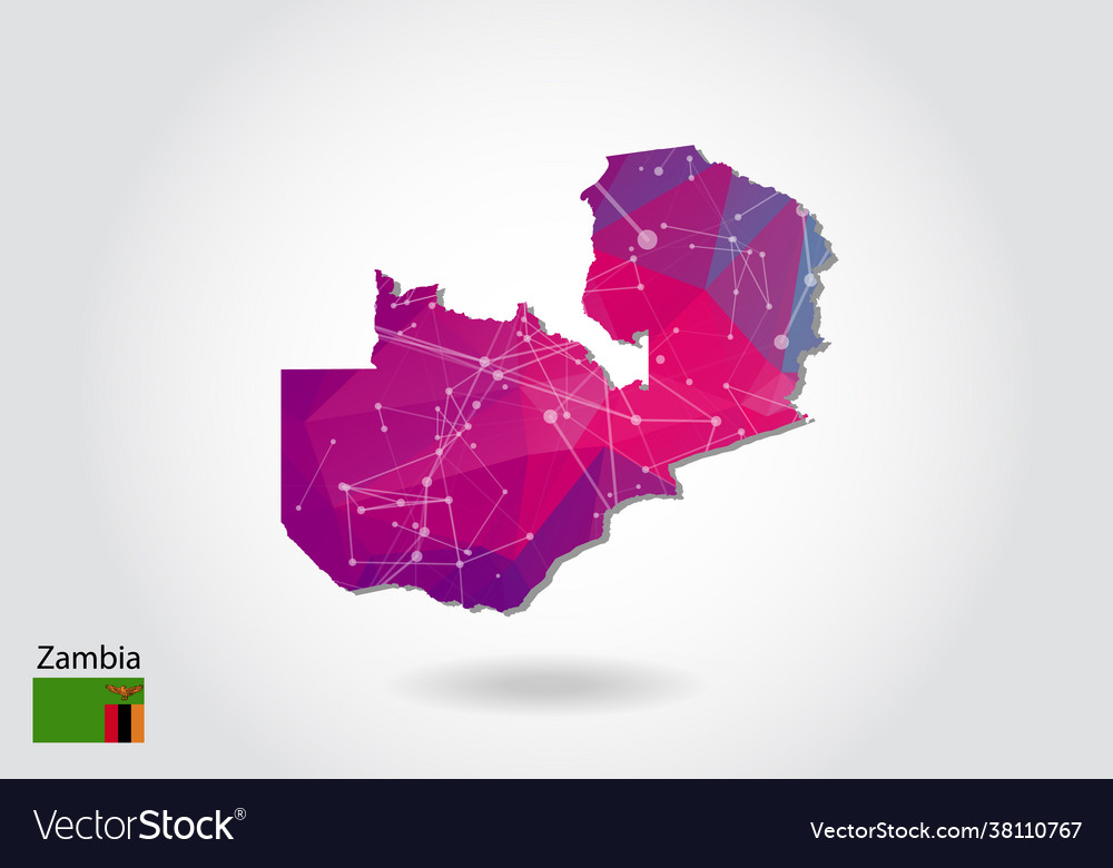 Polygonal zambia map low poly design made Vector Image