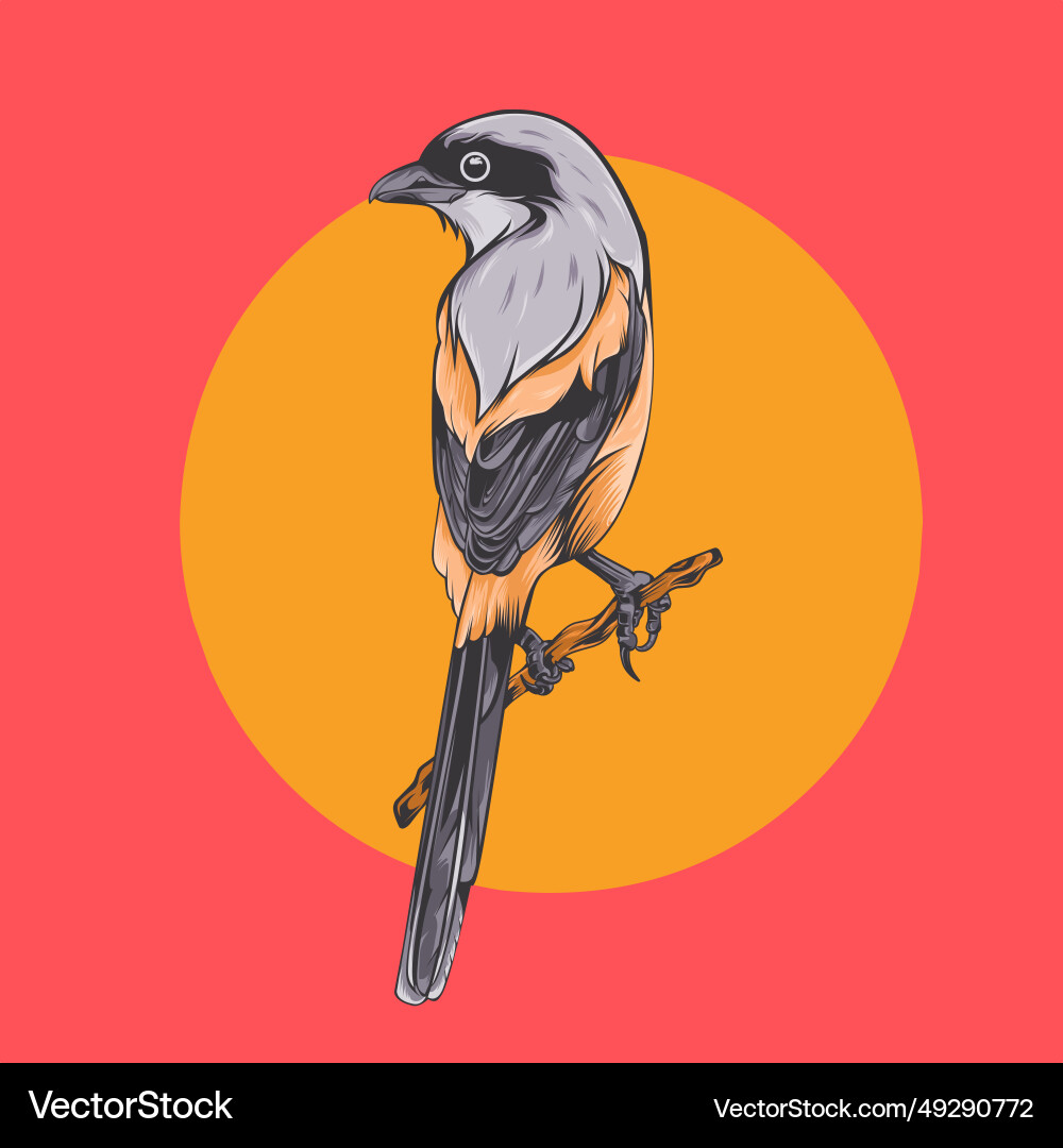Cute cartoon shrike bird Royalty Free Vector Image