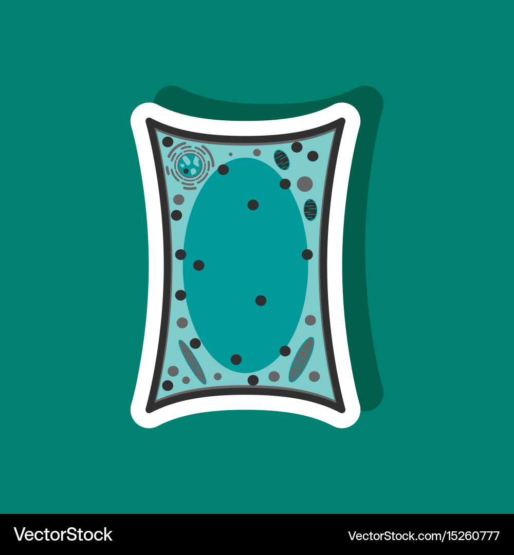 Plant cell paper sticker on stylish background Vector Image
