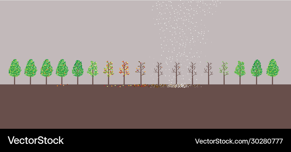 Spring summer autumn winter season changing Vector Image