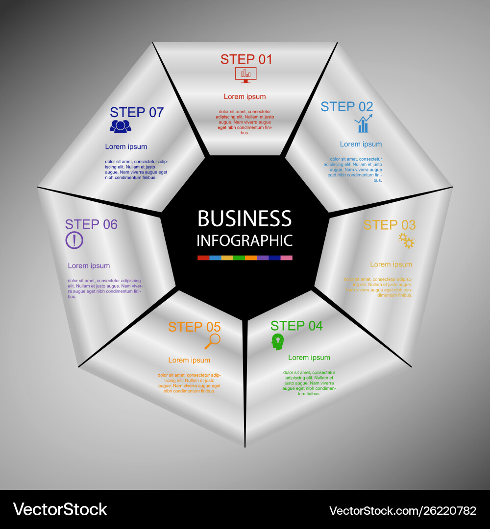 Business infographics geometry heptagon design Vector Image