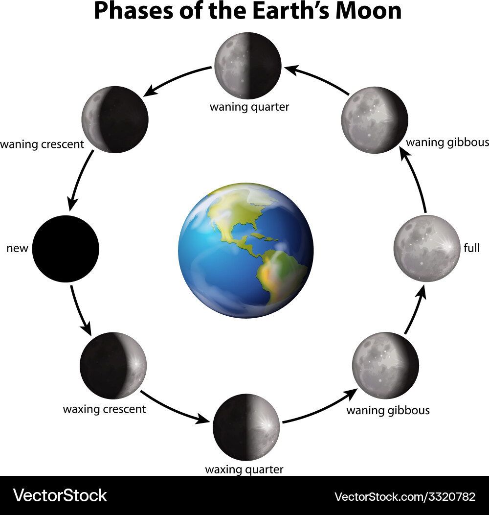Phases Of The Earth From Moon - The Earth Images Revimage.Org