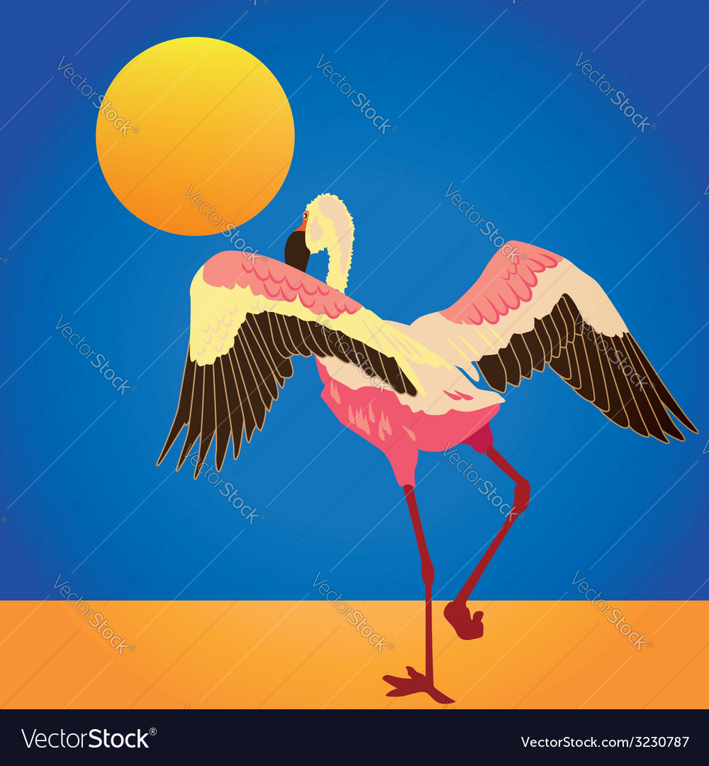 Flamingo Royalty Free Vector Image - VectorStock
