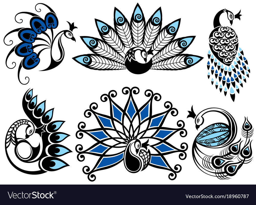Peacock Royalty Free Vector Image - VectorStock