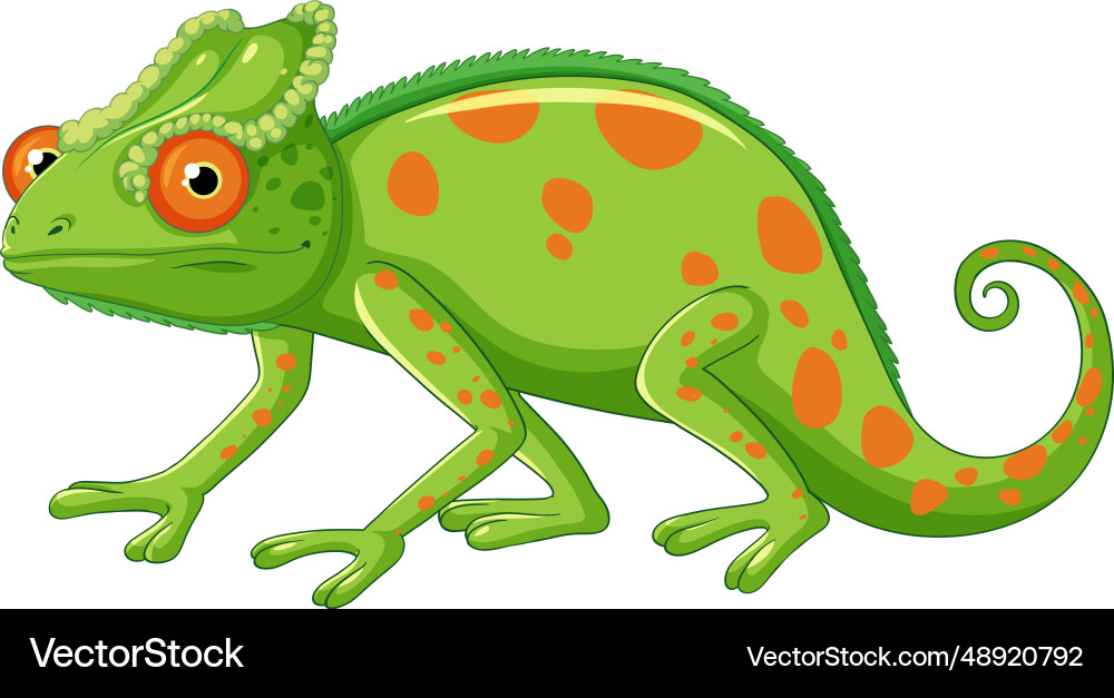 Cute colourful chameleon cartoon isolated Vector Image