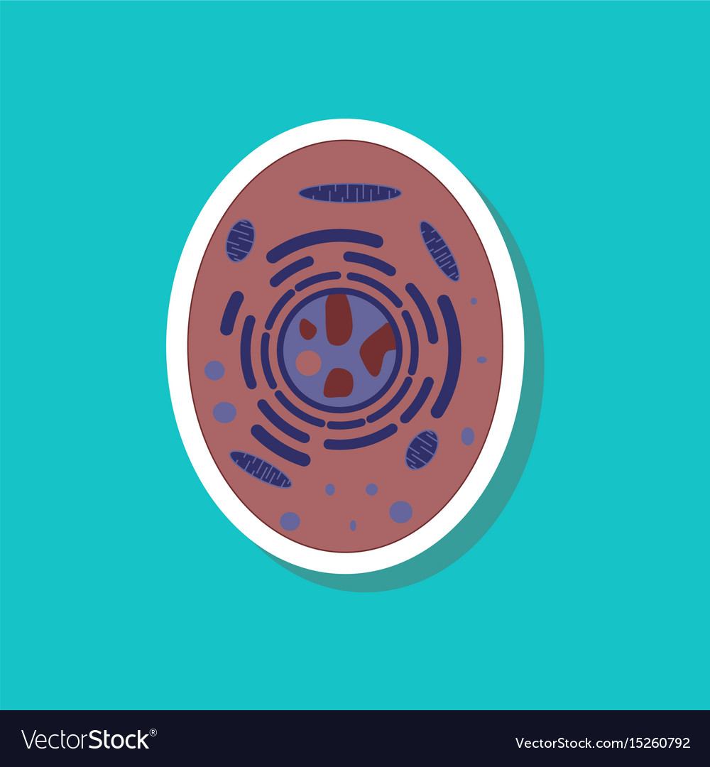 Paper Sticker On Stylish Background Cell Vector Image