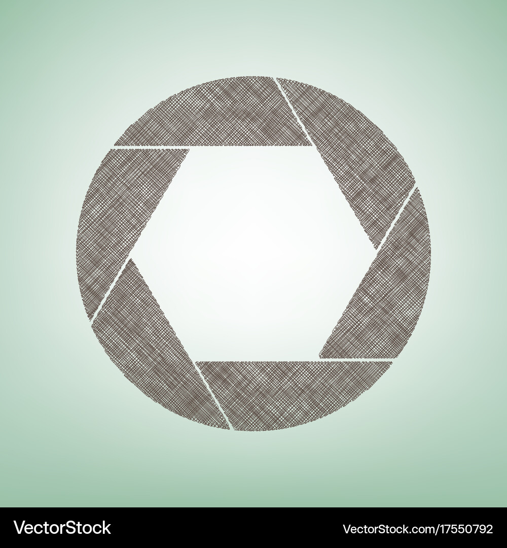 Photo sign brown flax icon Royalty Free Vector Image