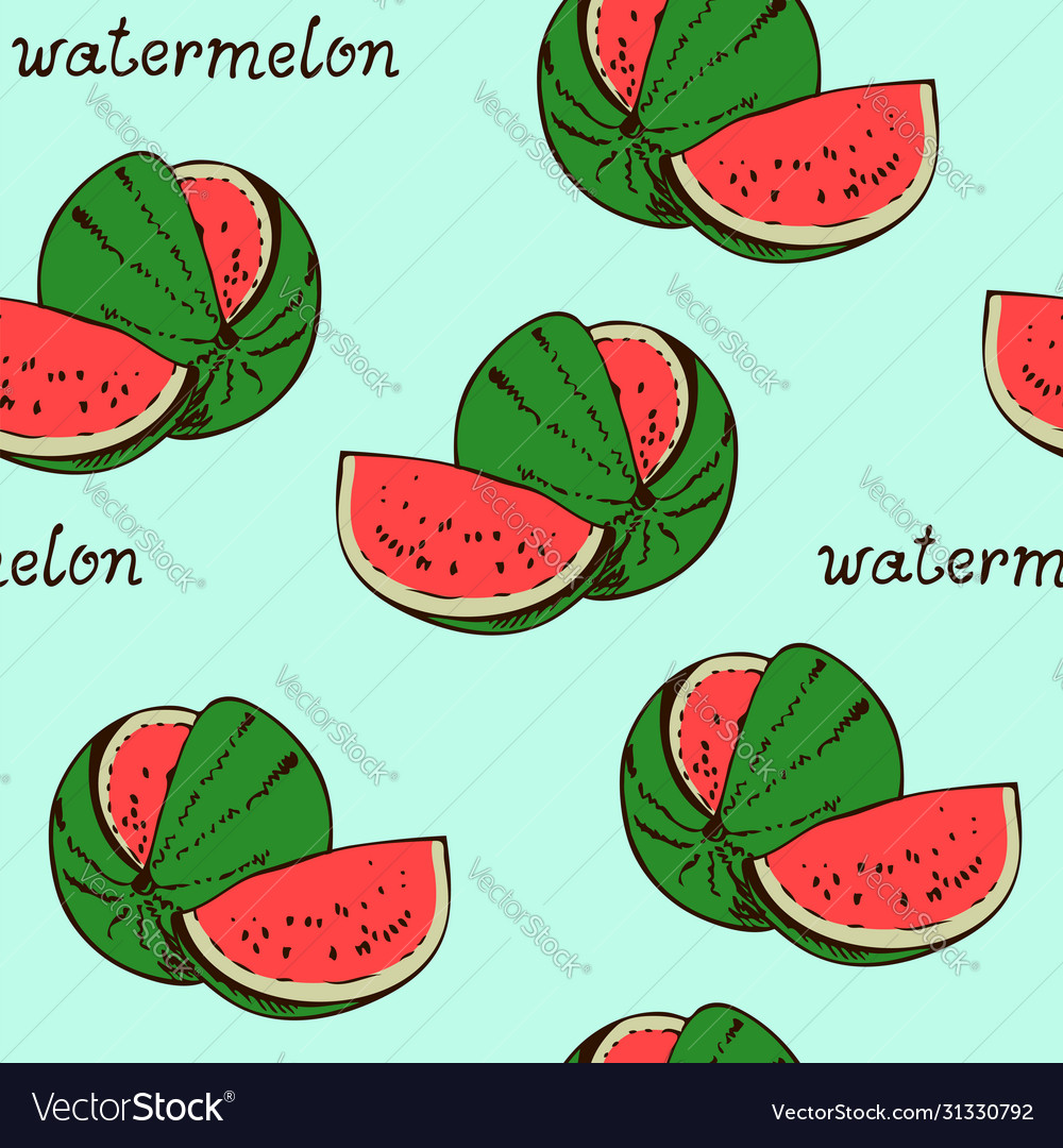 Watermelon seamless pattern fruit isolated Vector Image