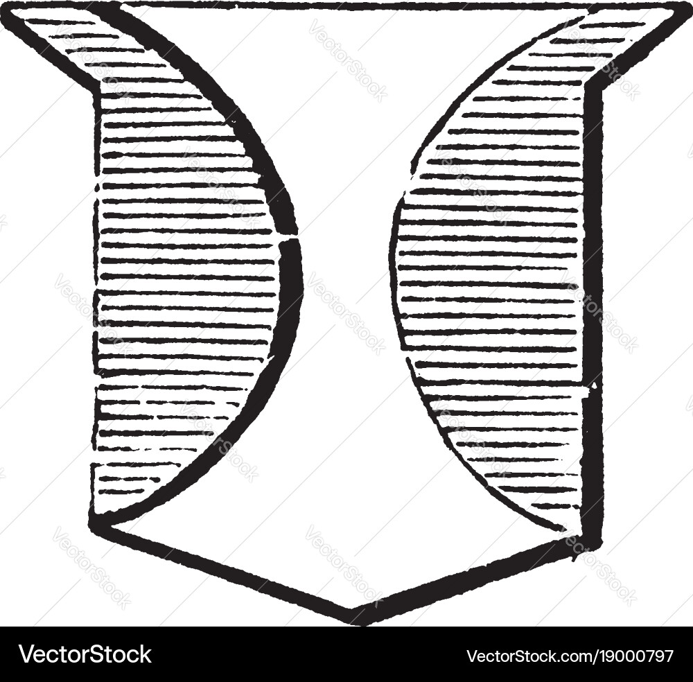 Flanche ordinary is formed by two curved lines Vector Image
