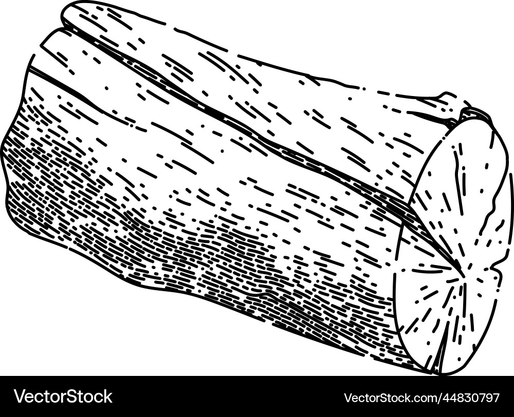 Log wood sketch hand drawn Royalty Free Vector Image