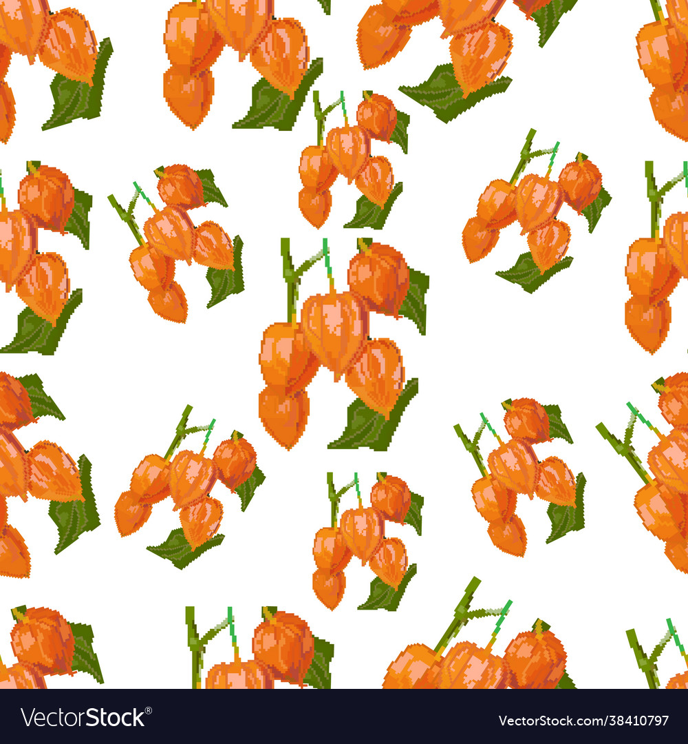 Physalis with leaves pattern Royalty Free Vector Image
