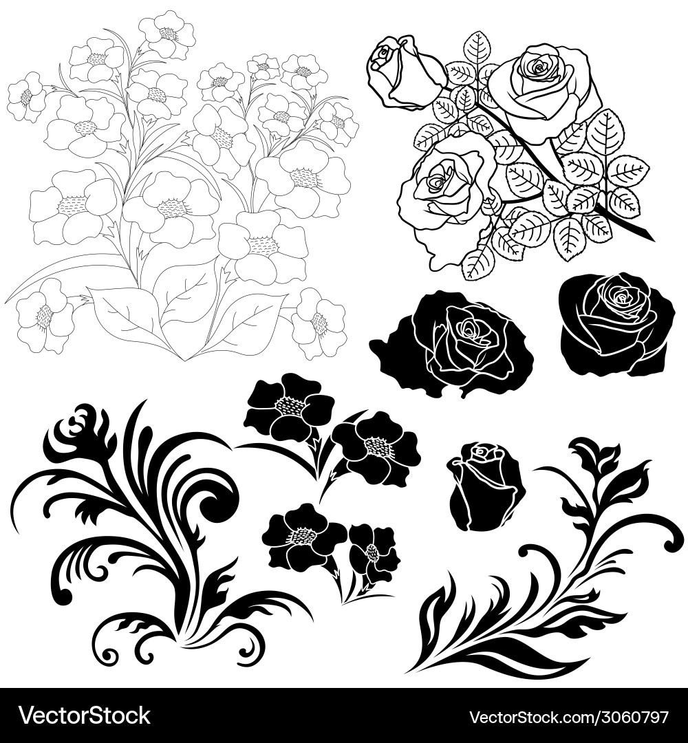 Set of isolated floral elements for design Vector Image