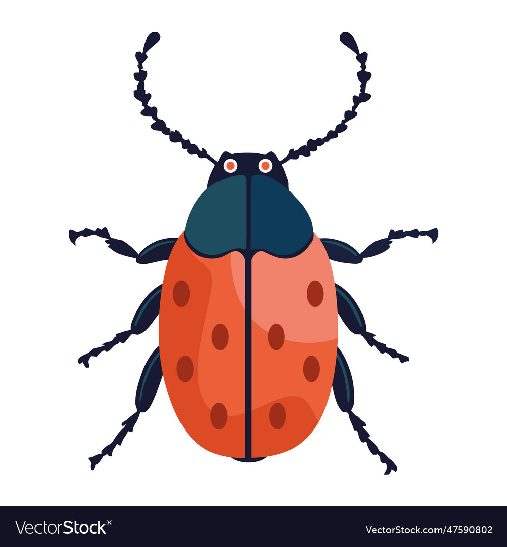 Cute ladybug crawling Royalty Free Vector Image
