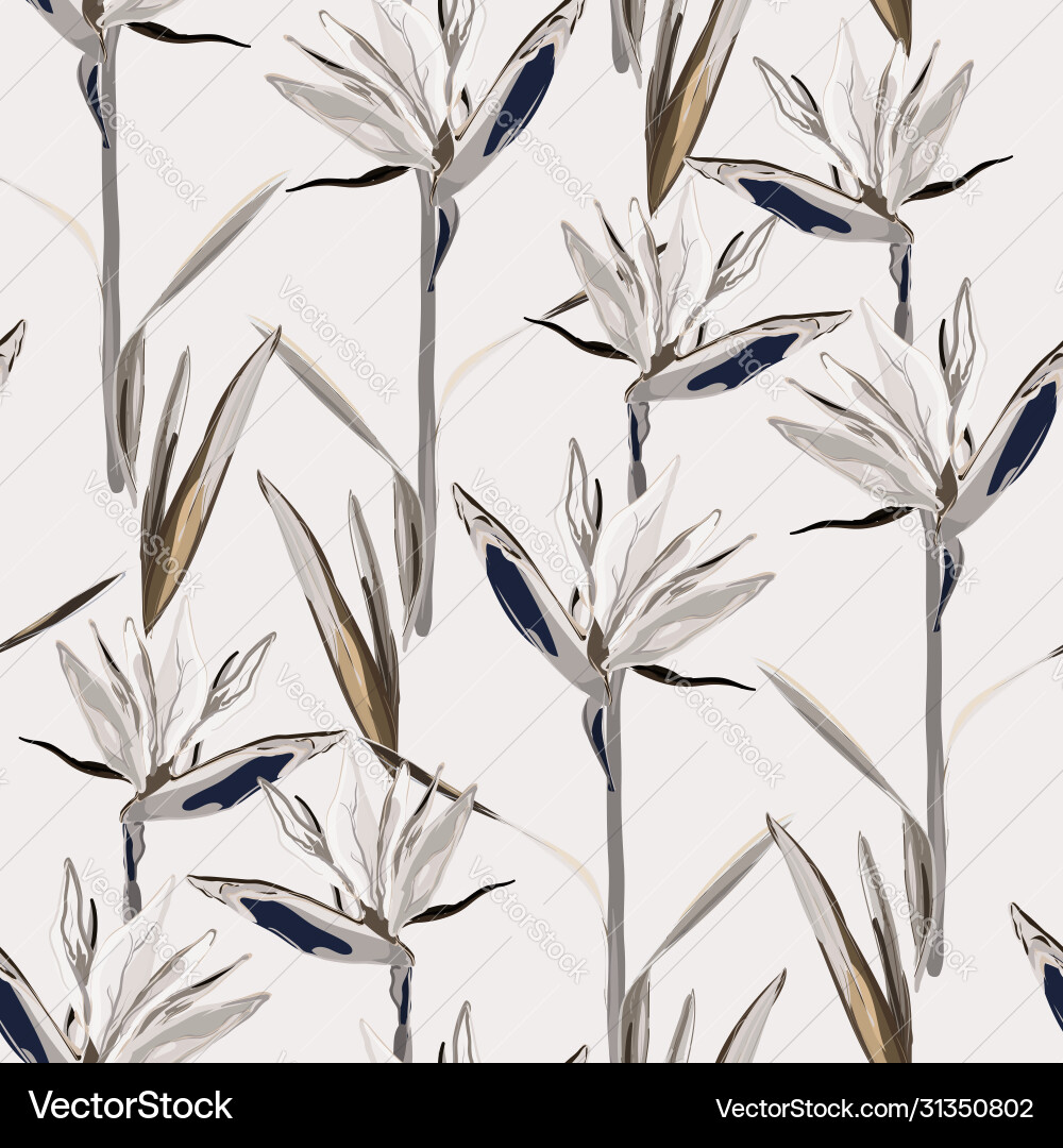 Drawing a yellow strelitzia flower on cream Vector Image