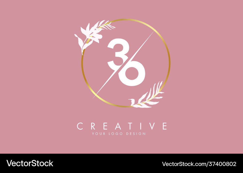 Numbers 36 3 6 logo design with golden circle Vector Image