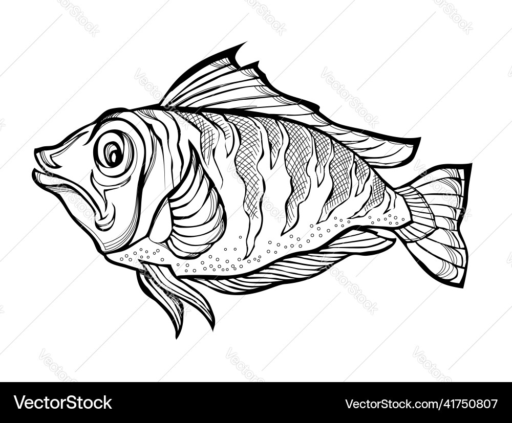 A fantasy fish fabulous perch drawing coloring Vector Image