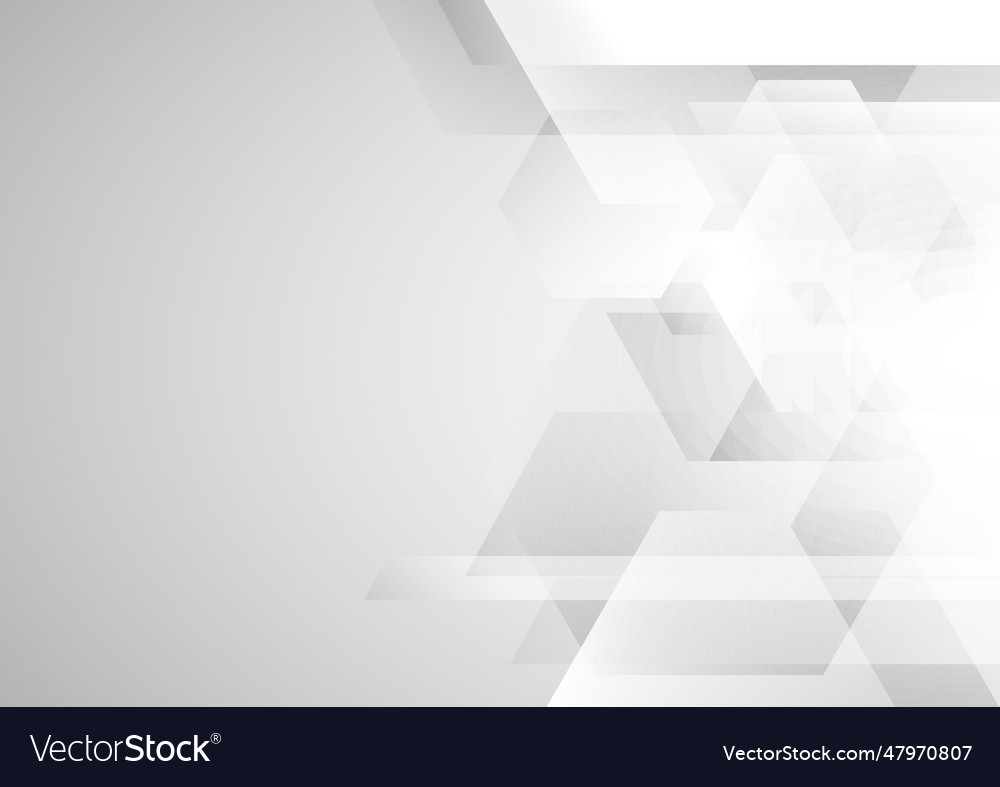 Abstract white and gray geometric hexagon Vector Image