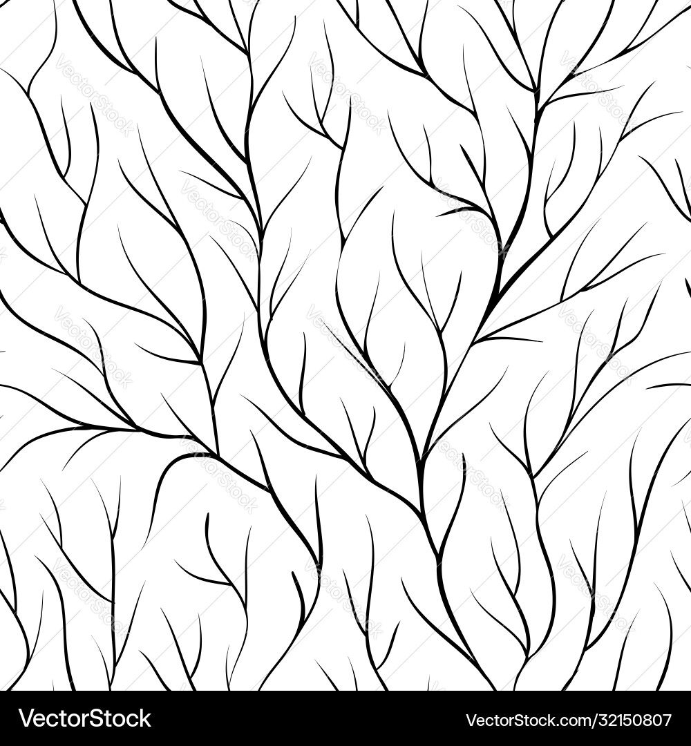 Beautiful monochrome black and white seamless Vector Image